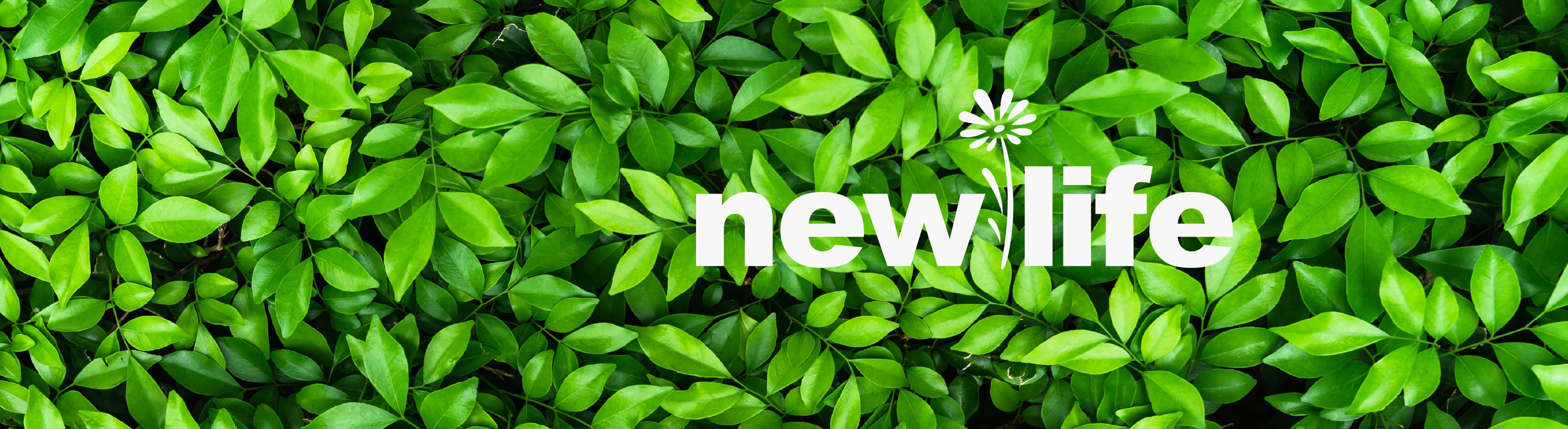 CÔNG TY TNHH ĐẦU TƯ NEWLIFE VINA Tuyển Dụng, Việc Làm Mới Nhất ...